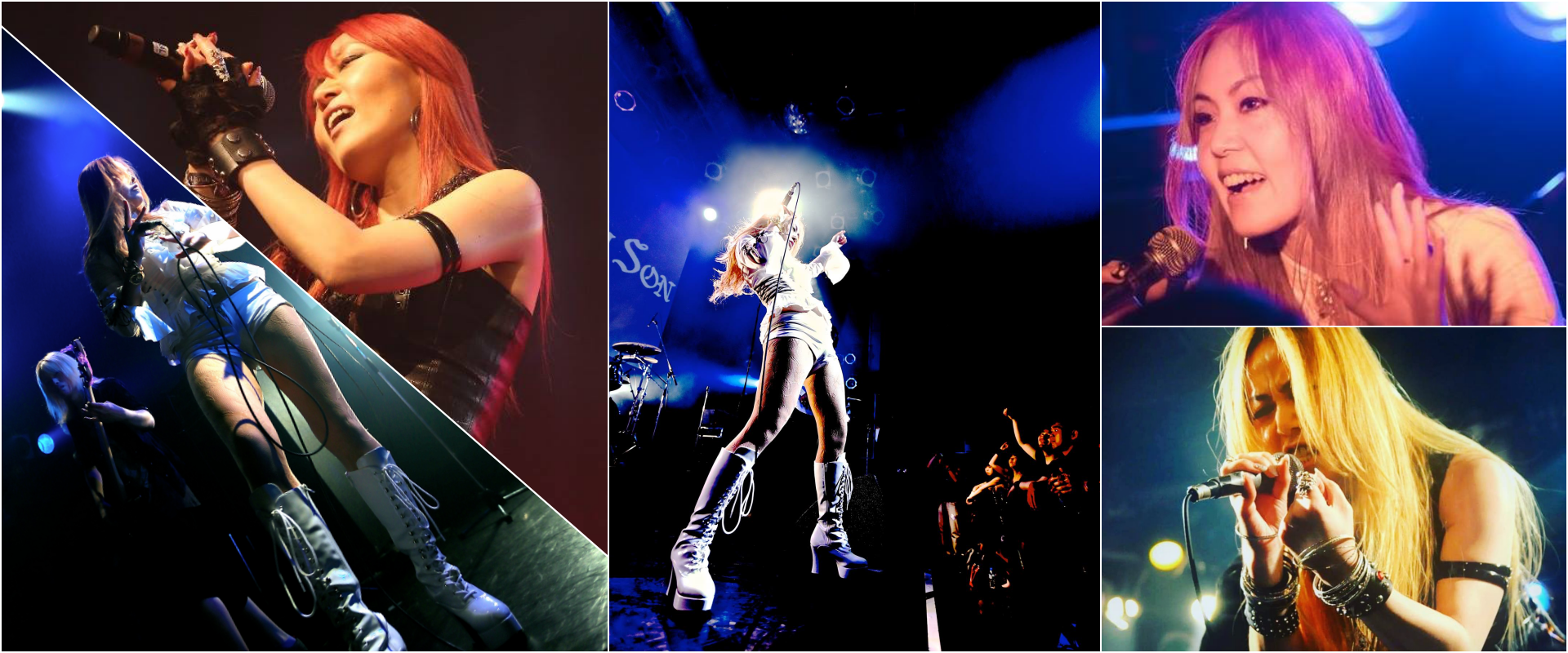 Who & What is SAEKO? | SAEKO OFFICIAL WEBSITE